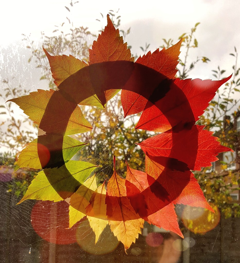 Autumn Leaf Colour Wheel